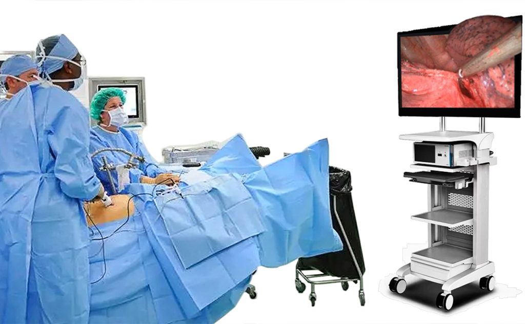 3D Ads Customized Screen | Pavilion & 3D Medical Imaging